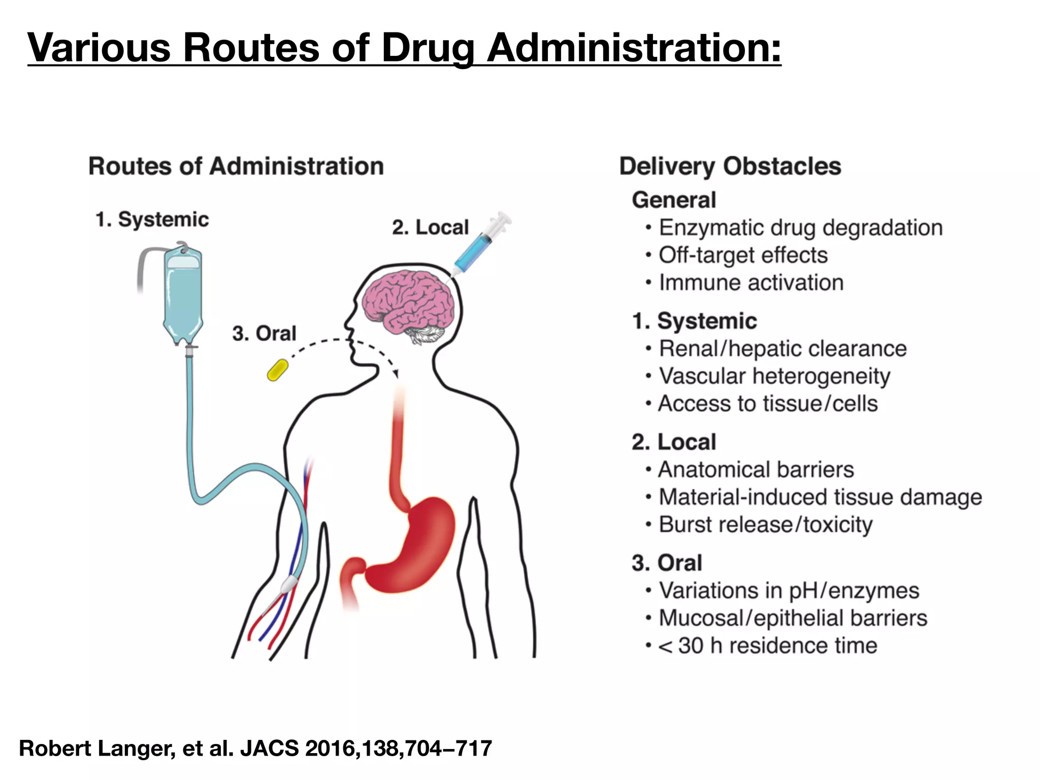 Drug Delivery Systems in Cancer | PDF