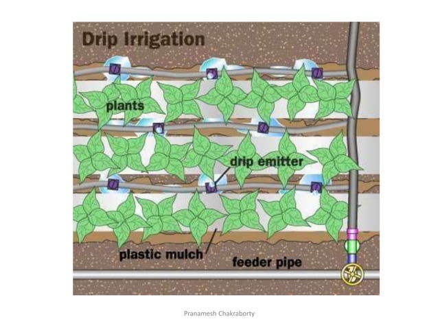 Type of Irrigation | PPT