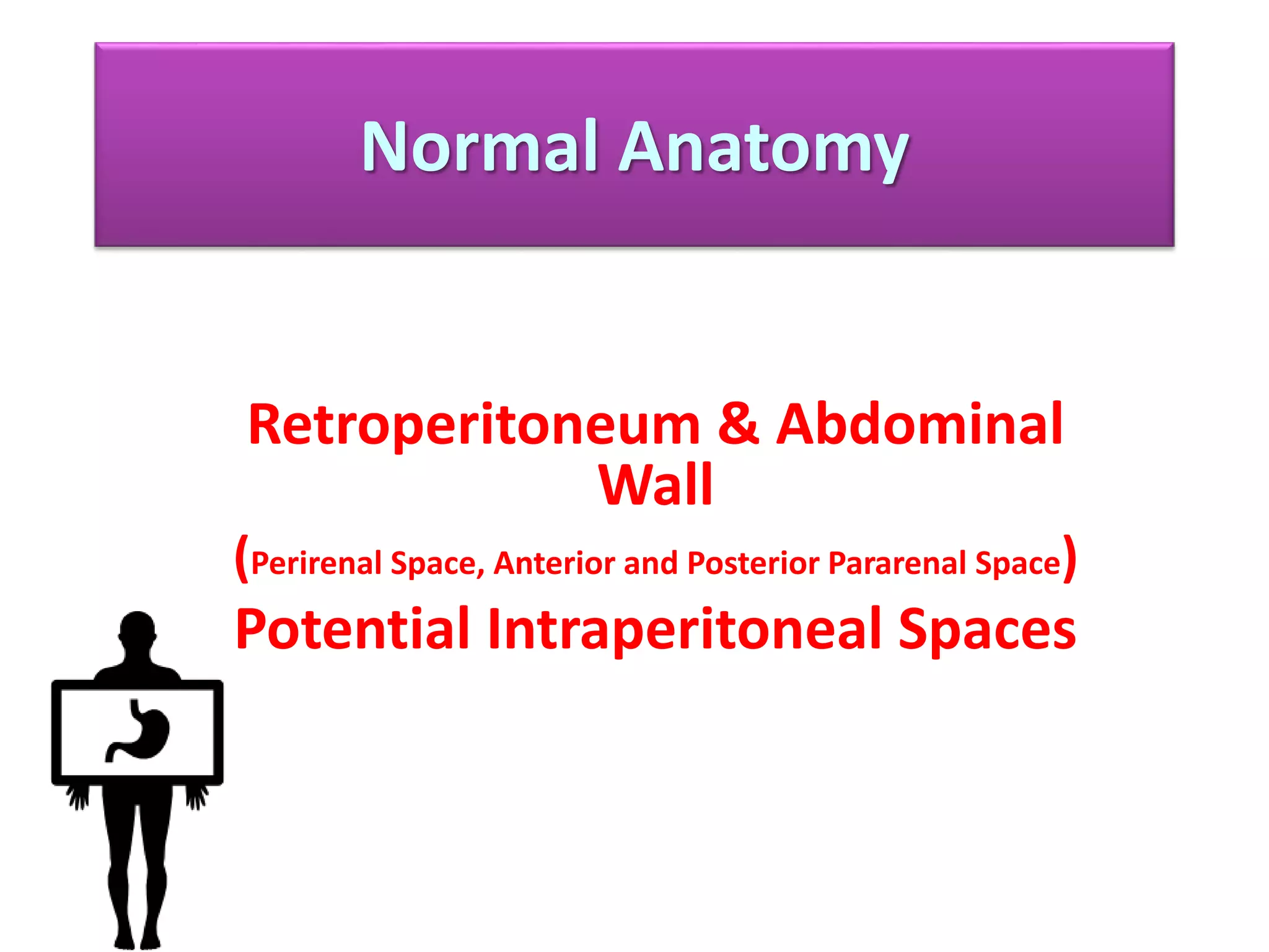 Peritoneum , Intraperitoneal Spaces | PPTX