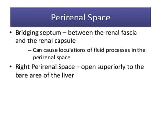 Peritoneum , Intraperitoneal Spaces | PPTX