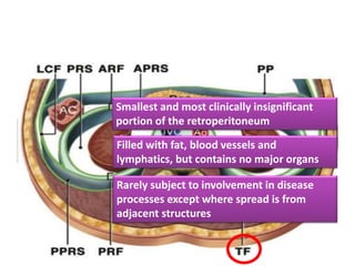 Peritoneum , Intraperitoneal Spaces | PPTX
