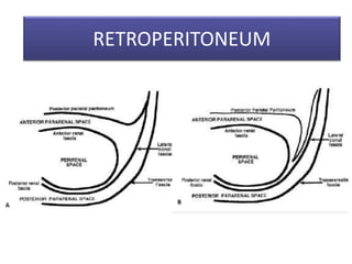 Peritoneum , Intraperitoneal Spaces | PPTX