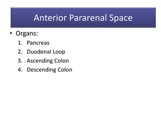 Peritoneum , Intraperitoneal Spaces | PPTX