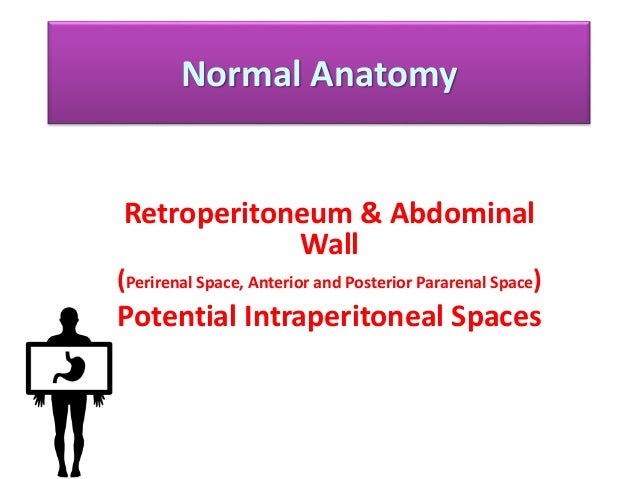 Peritoneum , Intraperitoneal Spaces