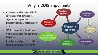 DDIS2020.ppt