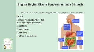 DDI sistem pencernaan.pptx