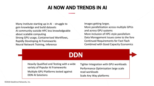 Accelerated Any-Scale Solutions from DDN | PPTX