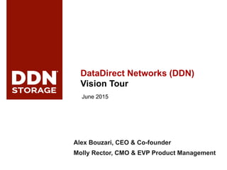 DDN Strategic Vision Tour June 2015 | PDF