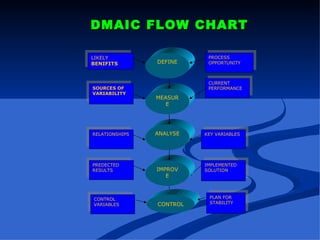 Six Sigma Case Study | PPS