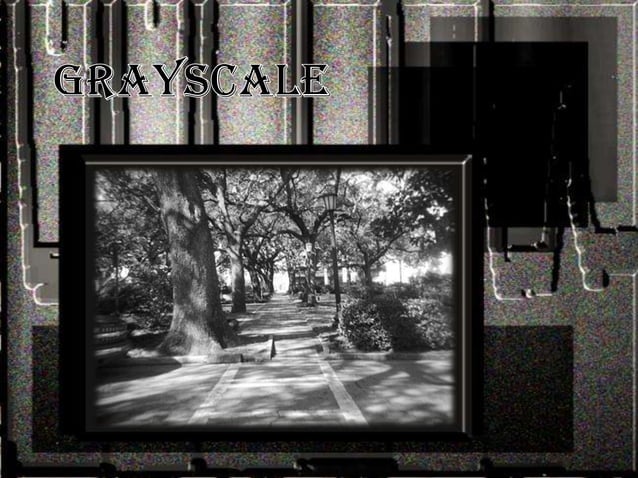Grayscale | PPT