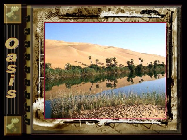 Oasis | PPT