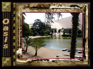 Oasis | PPT