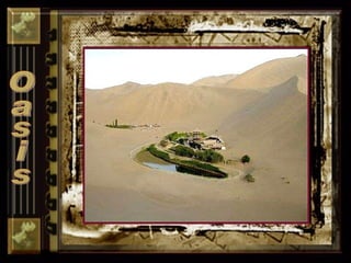 Oasis | PPT