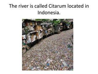 The Most Polluted River In The World | PDF | Science