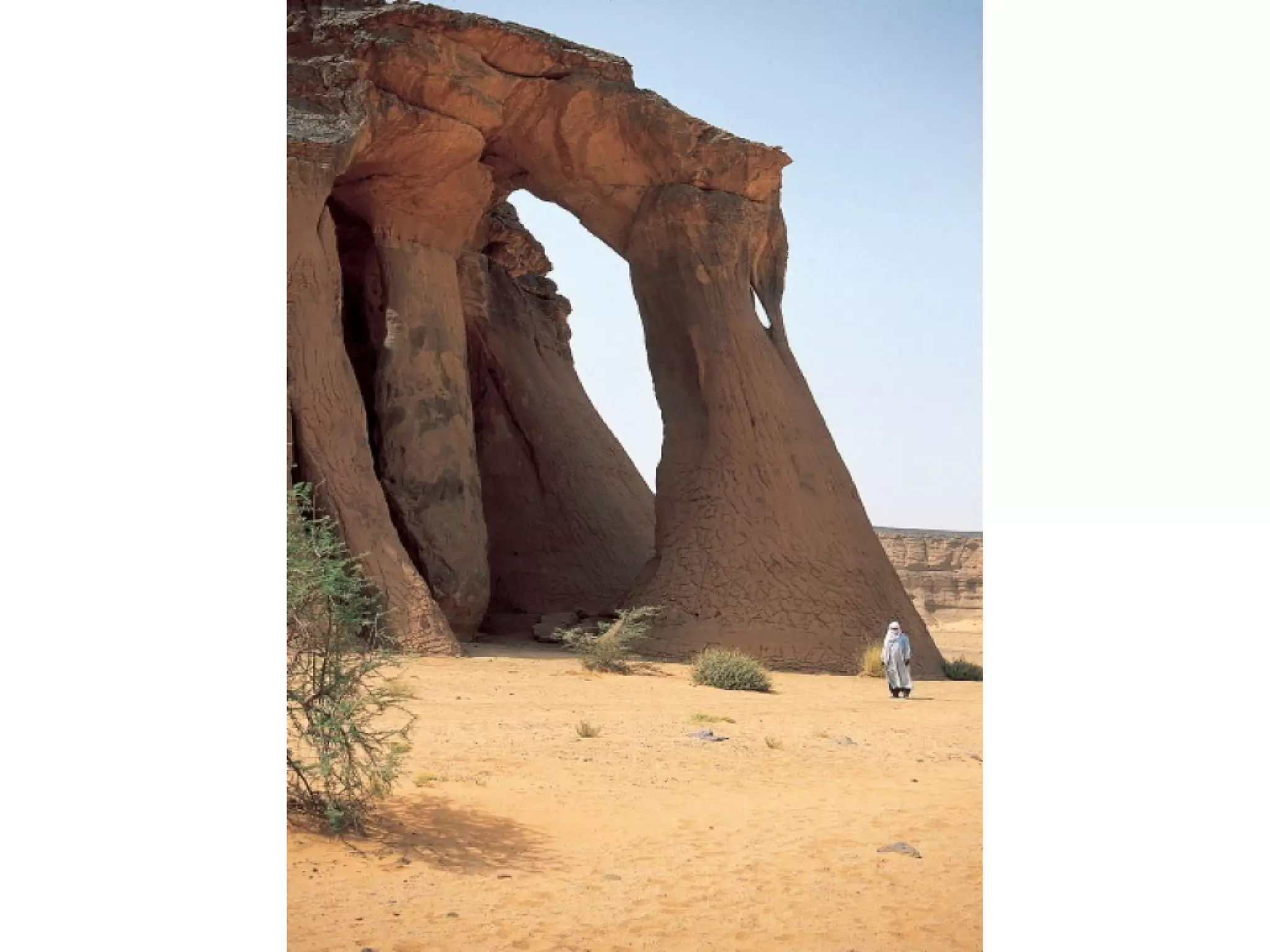 Arabic Nature Photos | PPS