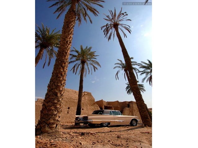 Arabic Nature Photos | PPS
