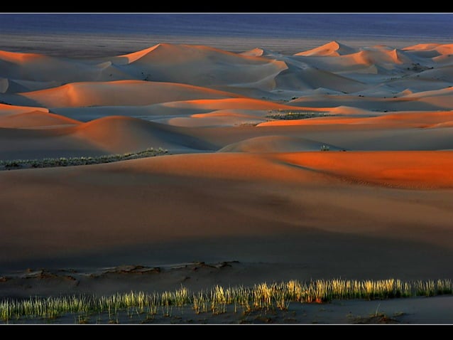 Arabic Nature Photos | PPS