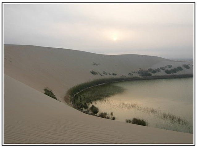 Arabic Nature Photos | PPS