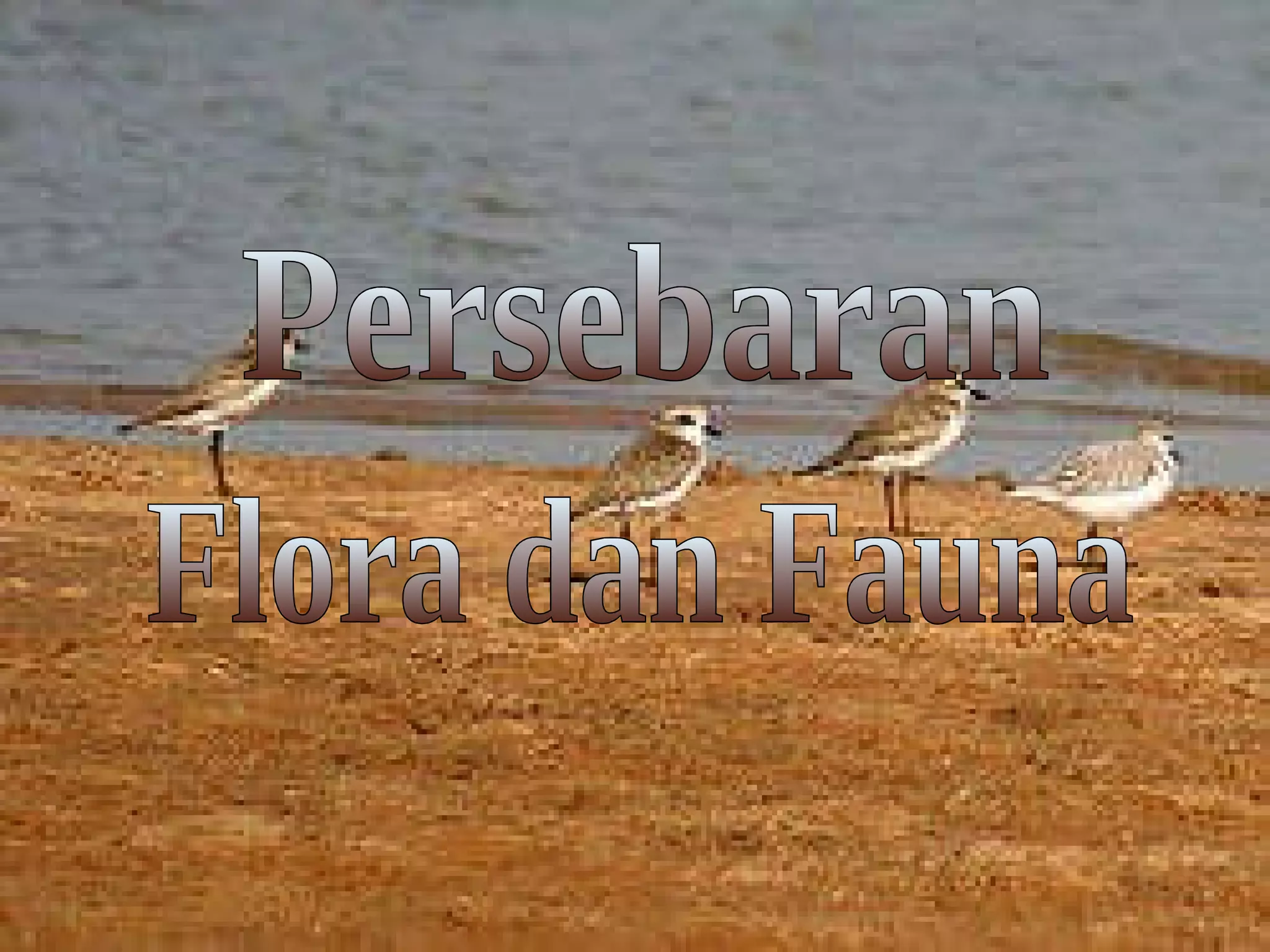 Persebaran Flora dan Fauna | PPT