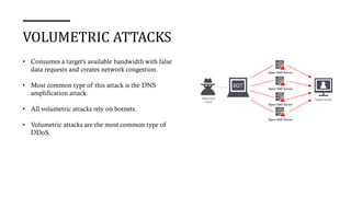 DDOS Attack - Gurzu Nepal | PPT