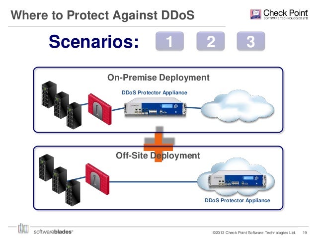 Check Point Ddos protector