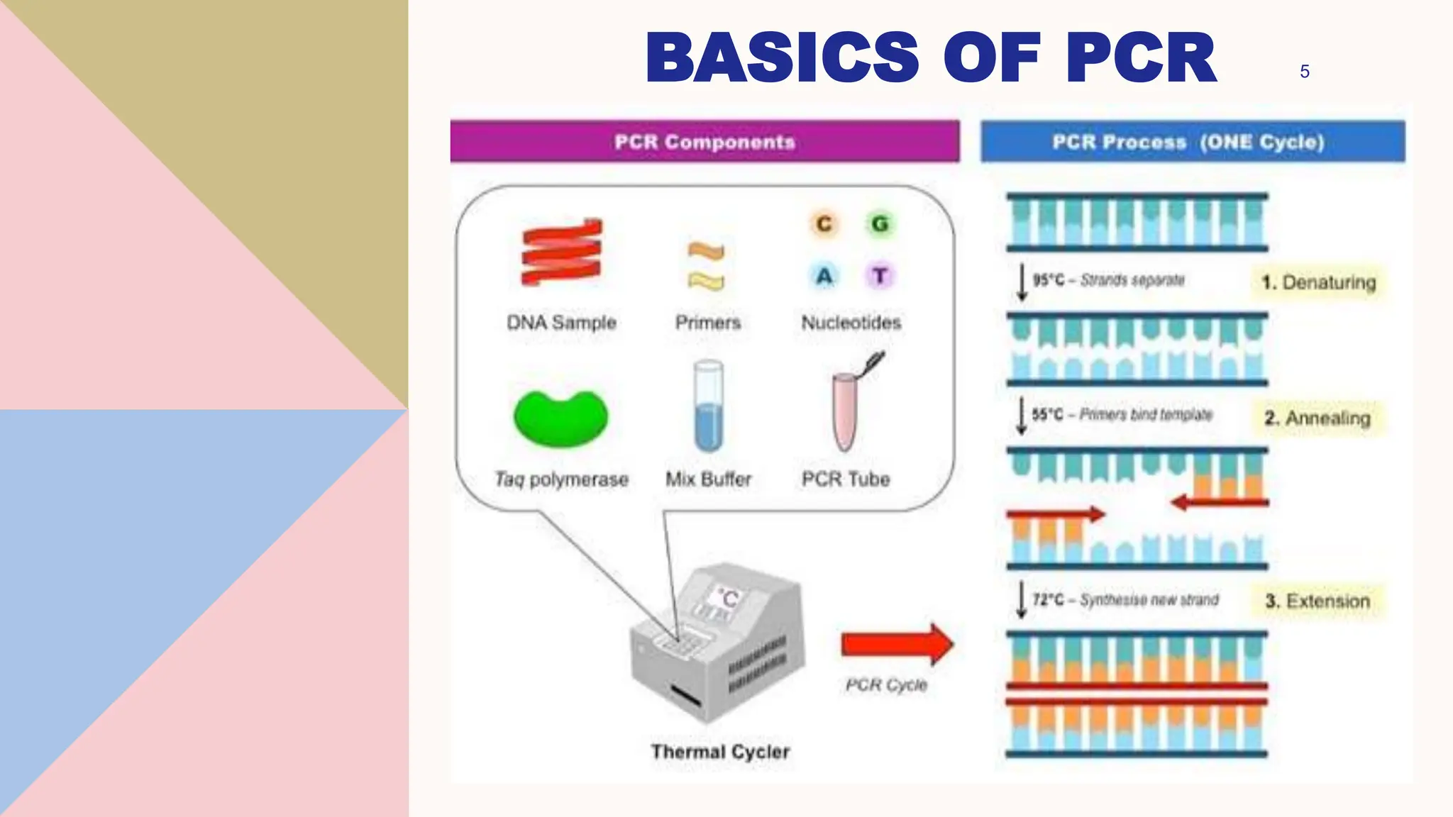 Droplet digital PCR and its applications | PPTX