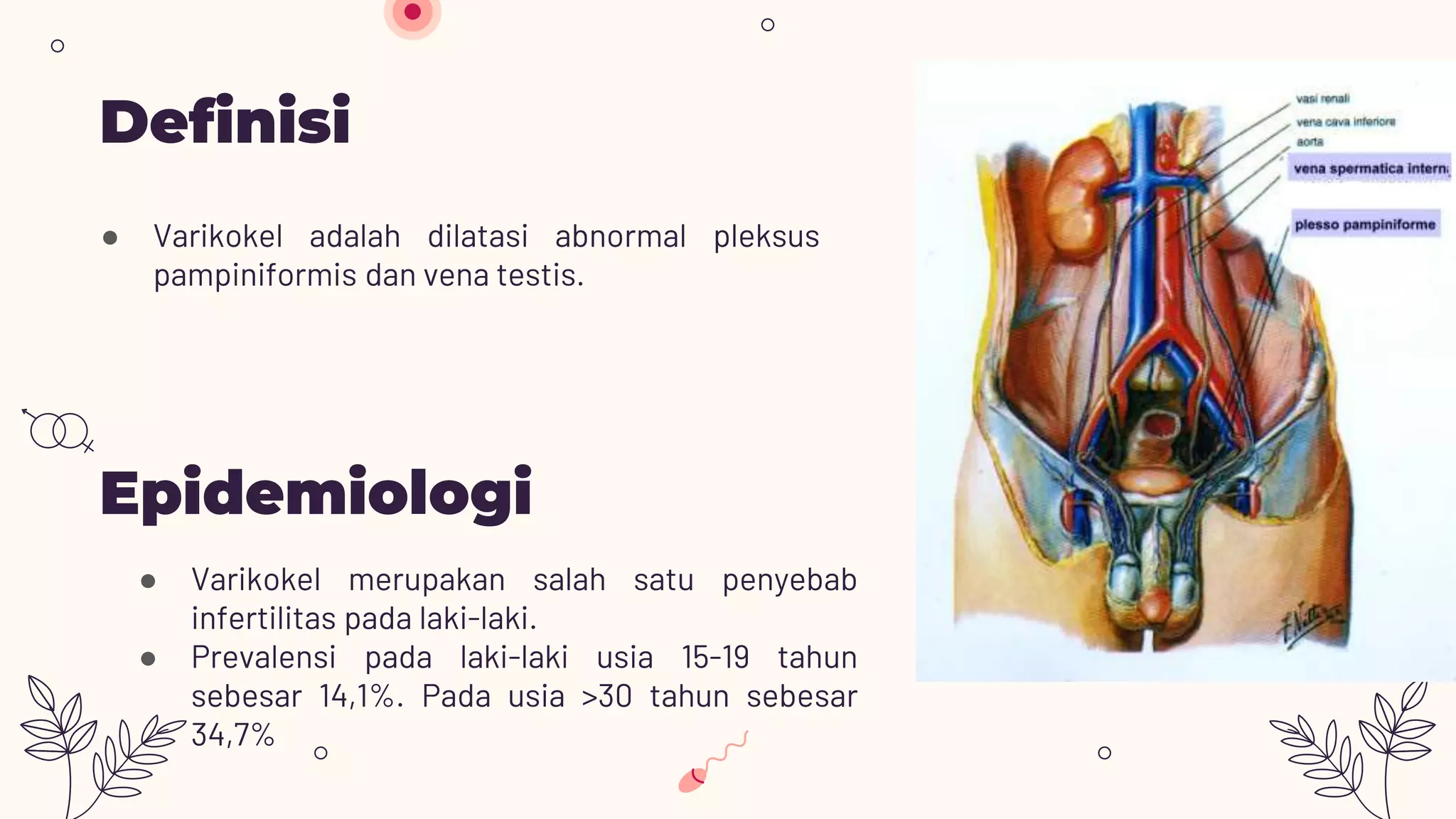 DD_PERBESARAN_SKROTUM.pptx