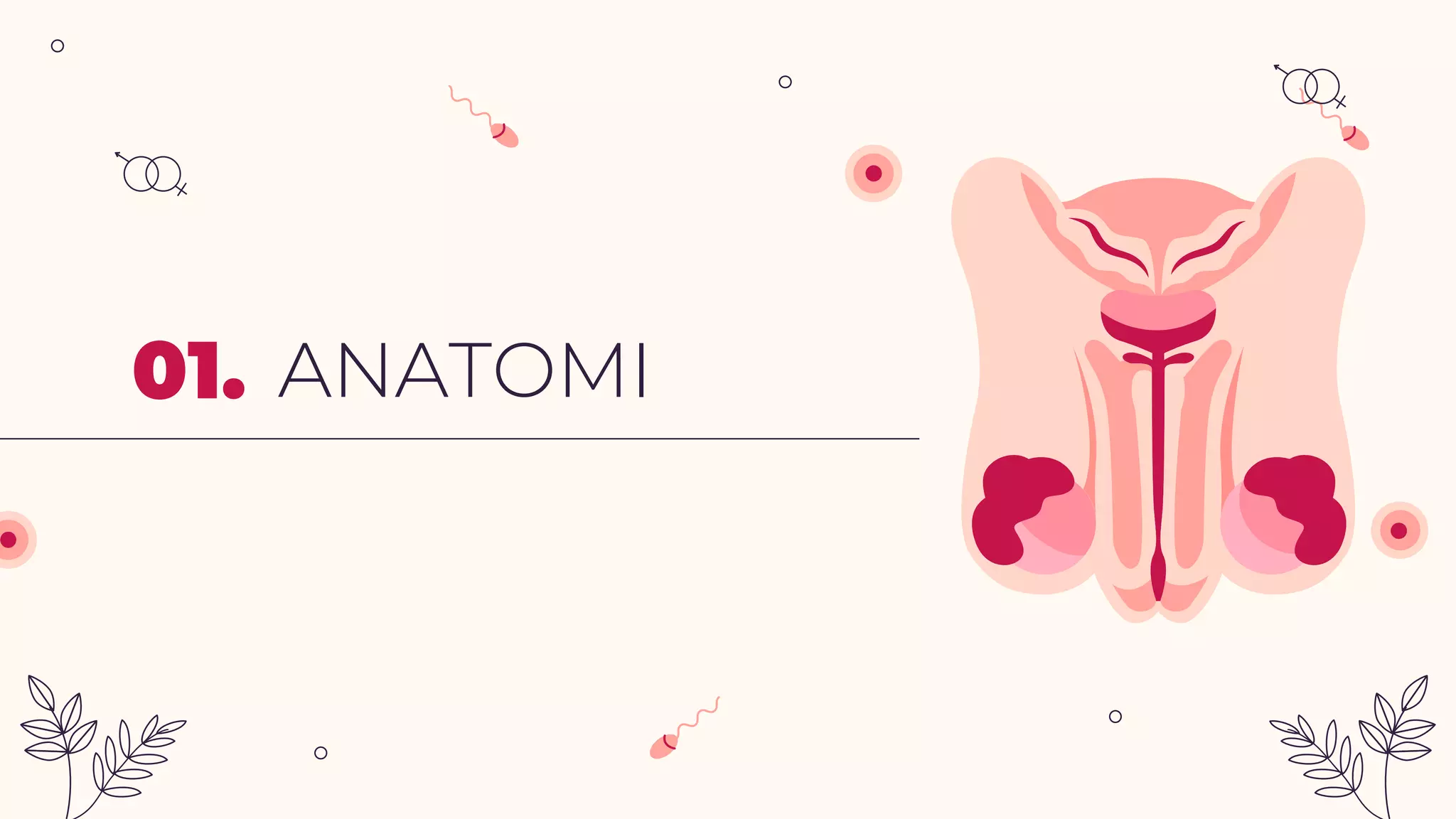 DD_PERBESARAN_SKROTUM.pptx