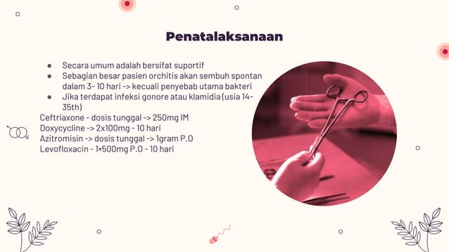 DD_PERBESARAN_SKROTUM.pptx