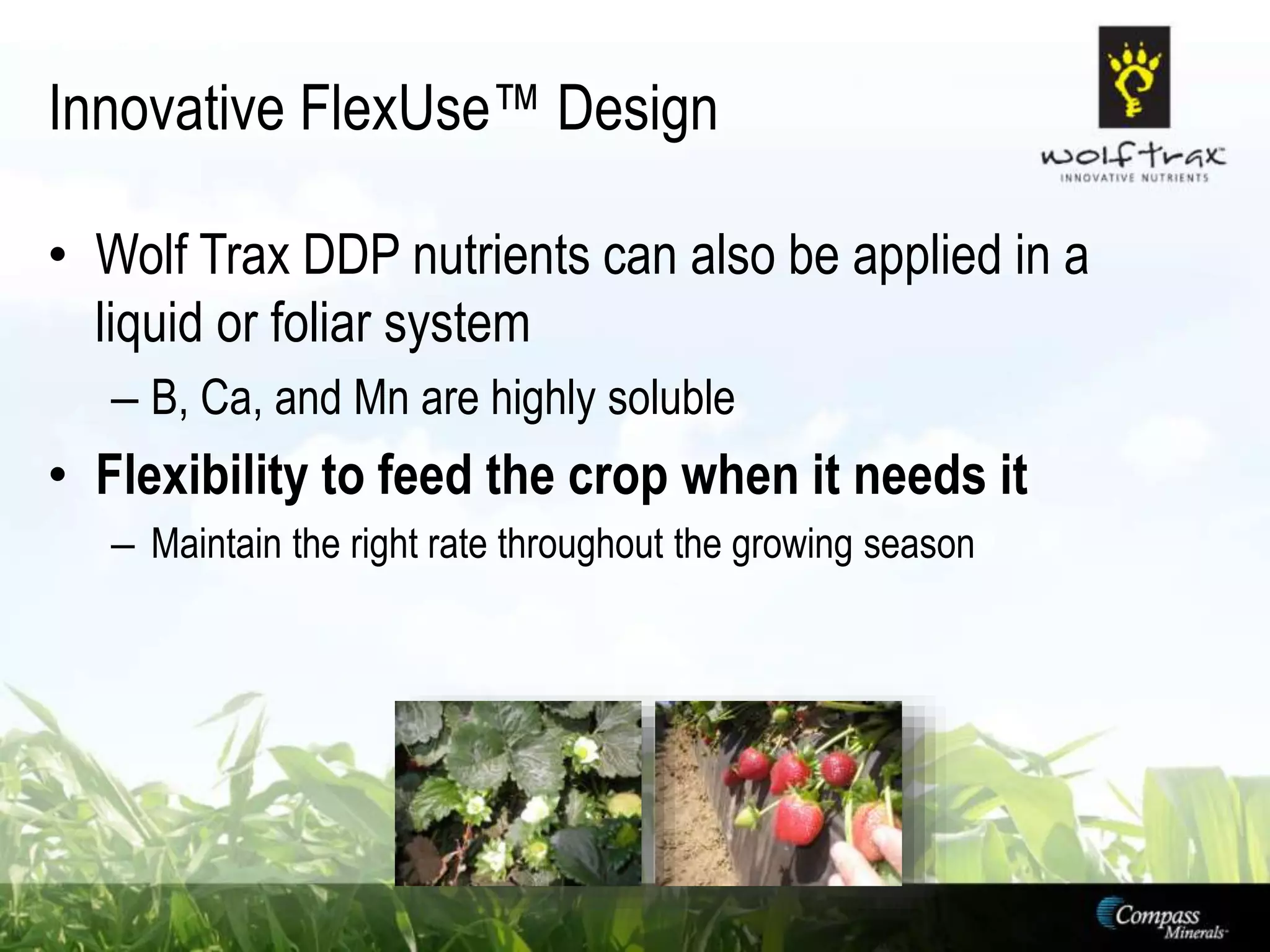 Intro to DDP for Large Acreage Crops | PPTX | Agriculture | Industries
