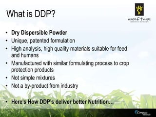 Intro to DDP for Large Acreage Crops | PPTX