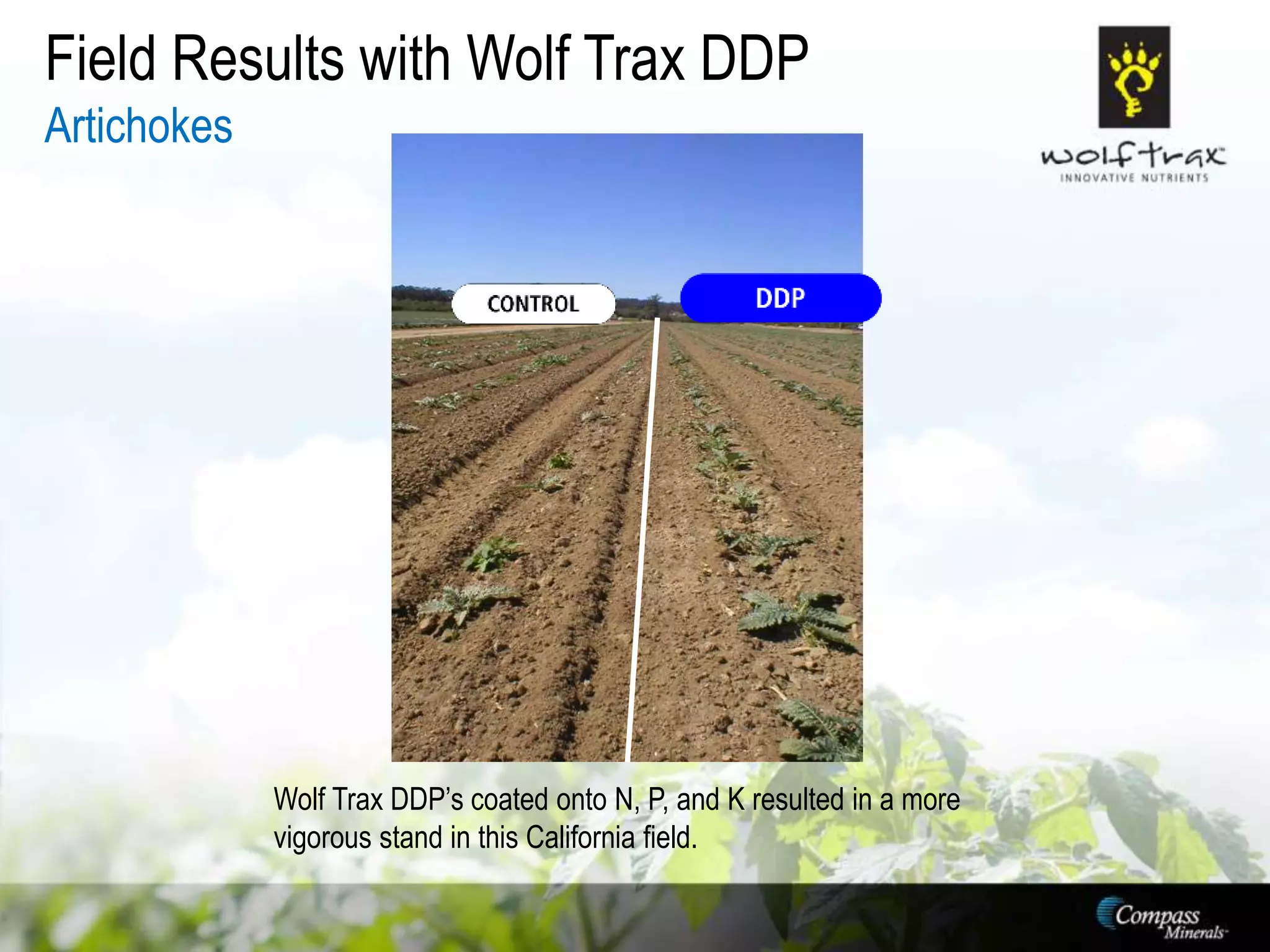 Intro to DDP & Specialty Crops | PPTX | Agriculture | Industries