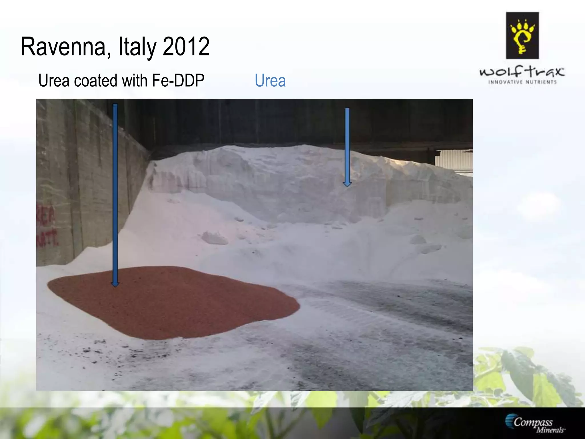 Intro to DDP & Specialty Crops | PPTX | Agriculture | Industries