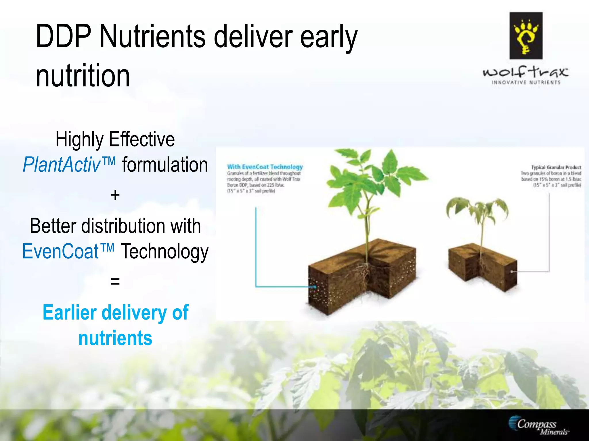 Intro to DDP & Specialty Crops | PPTX | Agriculture | Industries