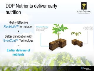 Intro to DDP & Specialty Crops | PPTX