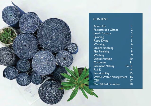 DD_Profile-compressed_1.pdf