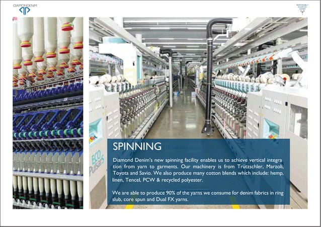 DD_Profile-compressed_1.pdf