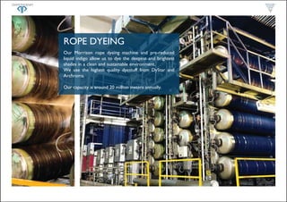 DD_Profile-compressed_1.pdf