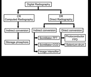 Digital Radiography | PPT
