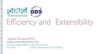 DDS Efficiency and Extensibility | PPT