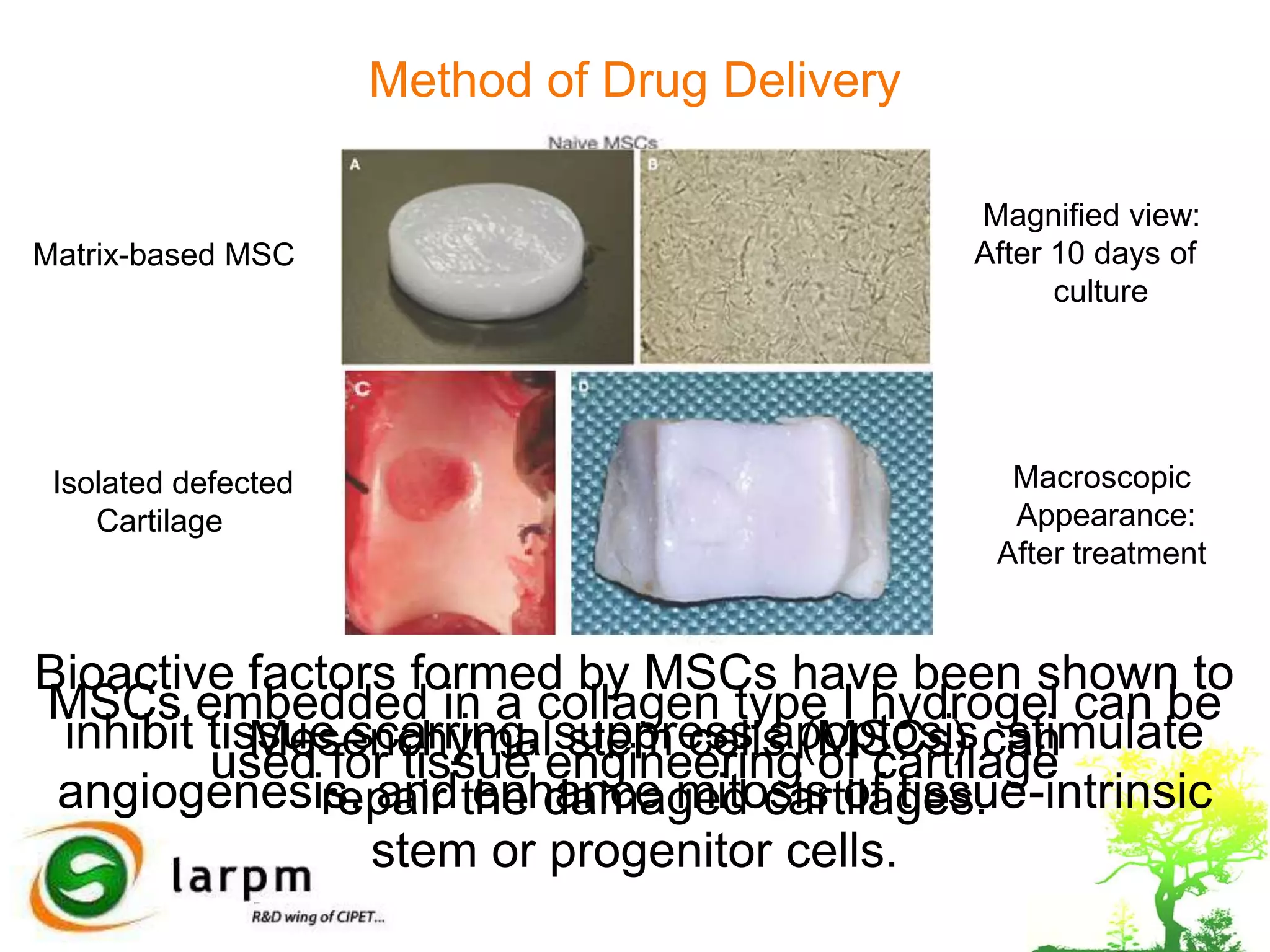 Drug delivery with Hydrogel | PPTX