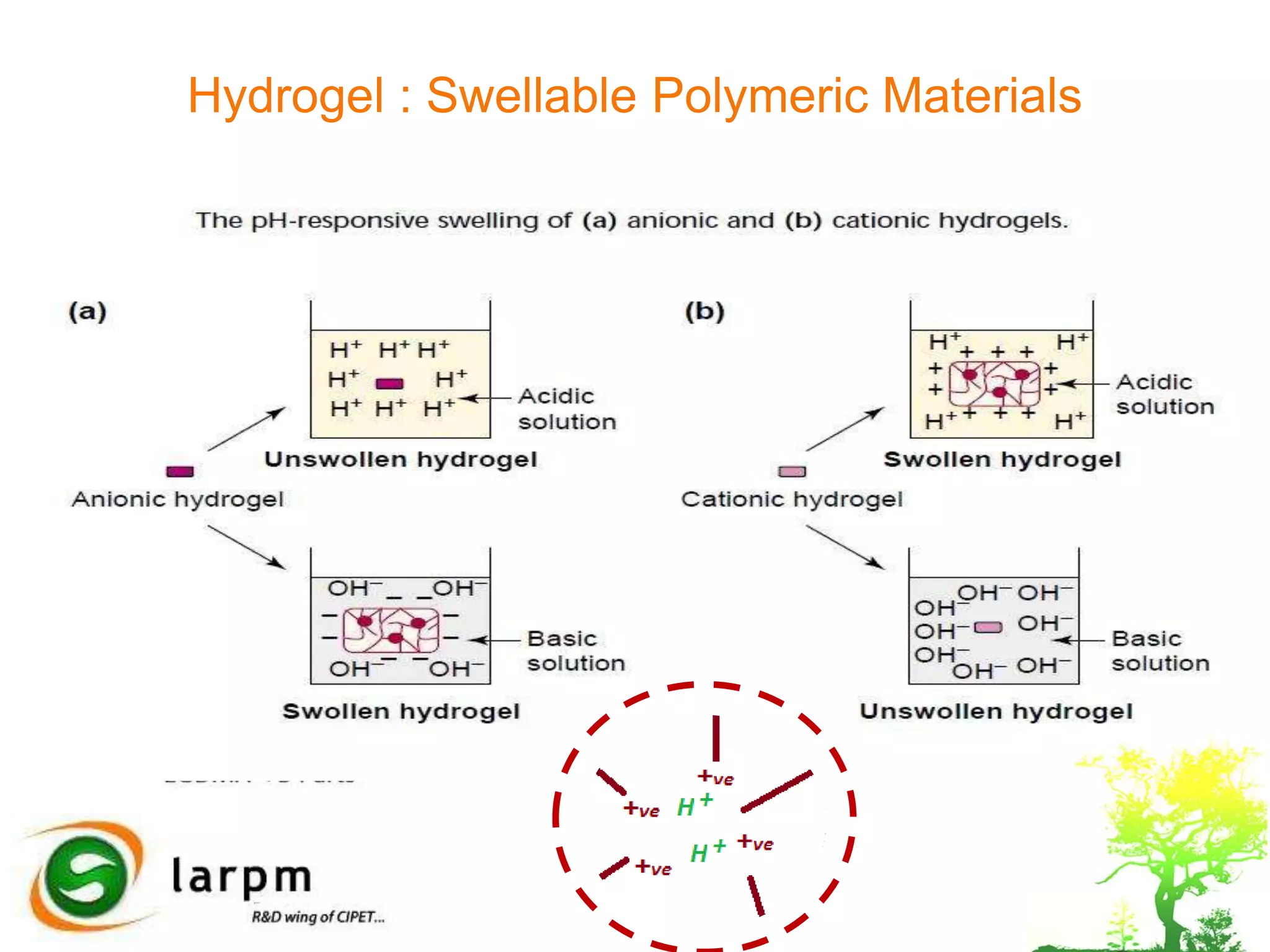 Drug delivery with Hydrogel | PPTX