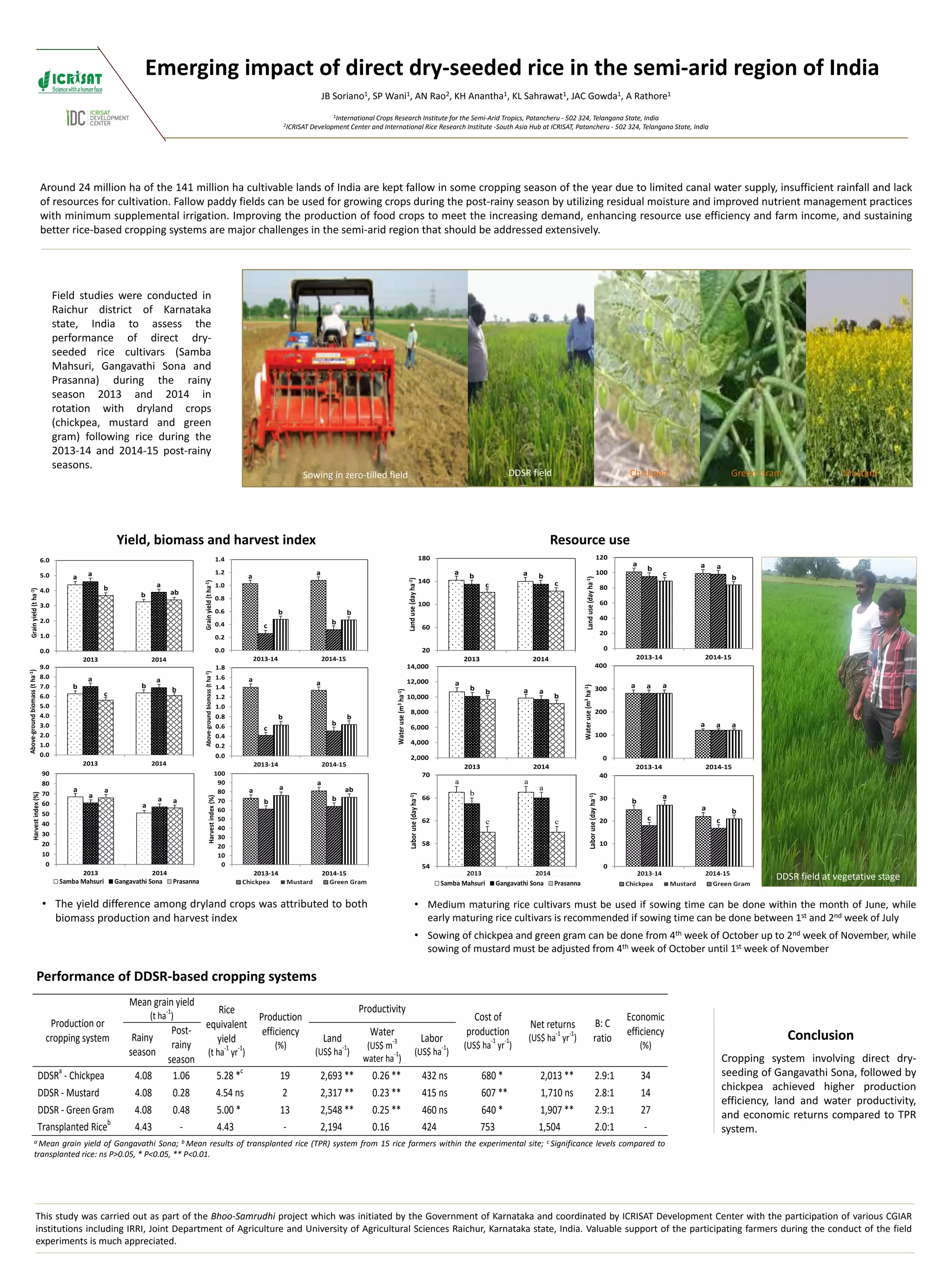 Emerging impact of direct dry-seeded rice in the semi-arid region of ...