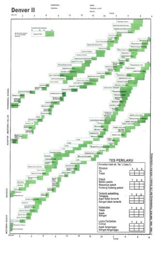Denver Ii Screening Tool Printable