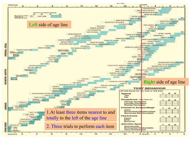 DDST | PDF | Parenting Babies and Toddlers | Parenting