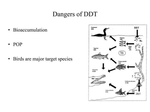 DDT | PPT