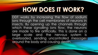 DDT | PPTX