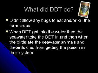 7th Grade Science DDT HOMEWORK | PPT