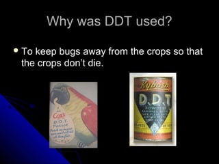 7th Grade Science DDT HOMEWORK | PPT