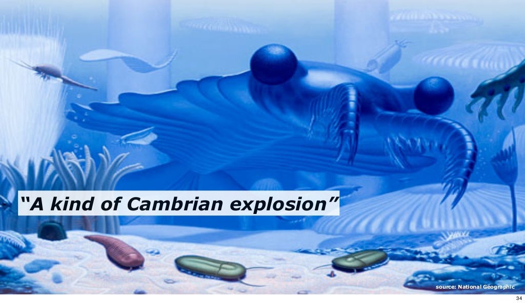 “A kind of Cambrian explosion”